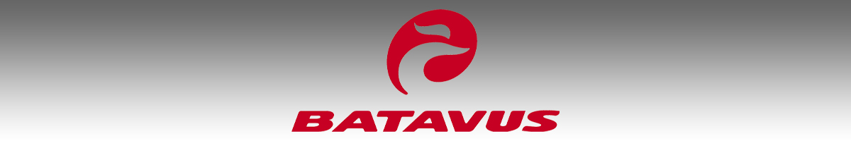 Batavus Fietsen Overzicht - Huisman Leiden